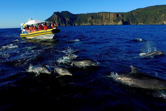 3-Hour Tasman Peninsula Wilderness Cruise from Port Arthur - FAQs