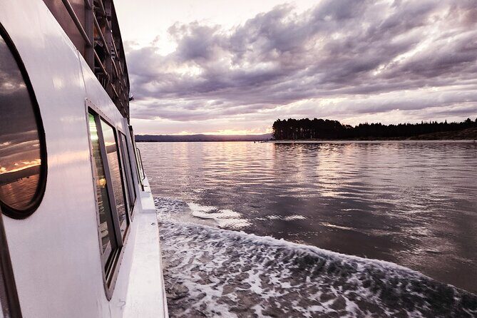 3 Hour Tauranga Scenic Cruise - An In-Depth Look at the Tauranga Scenic Cruise