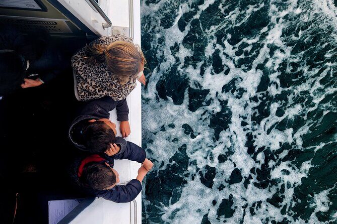 3 Hour Tauranga Scenic Cruise - Final Thoughts