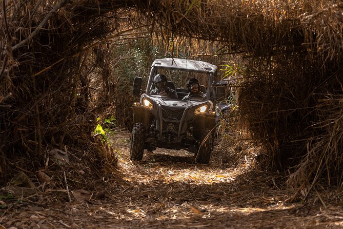 3-Hour Tour by Buggy or Quad in the Algarve - Participant Information