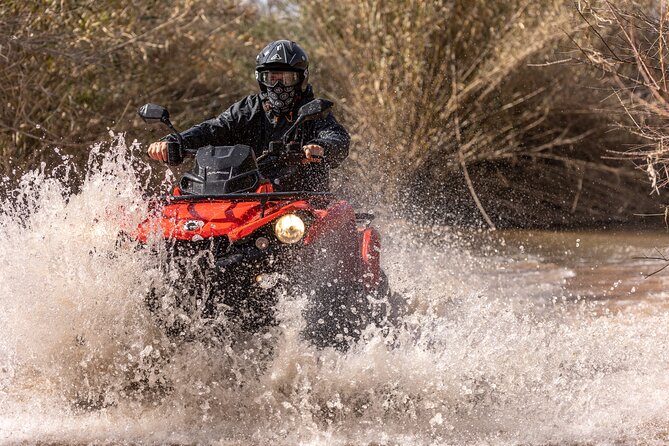 3-Hour Tour by Buggy or Quad in the Algarve - Terrain and Scenery