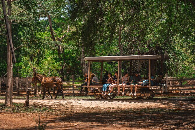 3 Hour Tour in The Sotuta de Peón Live Museum - FAQ