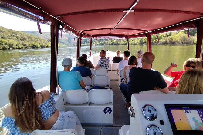 3-Hour Tour to Discover Pinhão - Moment of Discovery - Exploring the Douro Terroir