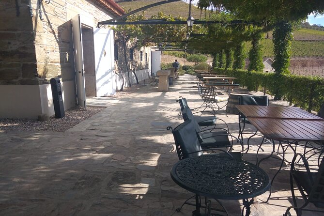 3-Hour Tour to Discover Pinhão - Moment of Discovery - Savoring the River Cruise Experience