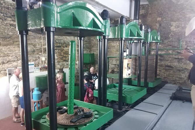 3-Hour Tour to Discover Pinhão - Moment of Discovery - Capturing the Scenic Wonders