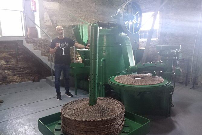 3-Hour Tour to Discover Pinhão - Moment of Discovery - Travelers Testimonials: A Chorus of Praise