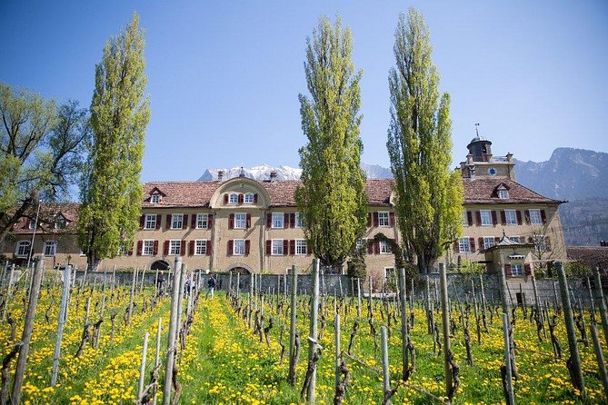 3 Hour Unique Wine Tour - Half Day in Swiss Alps - Inclusions and Logistics