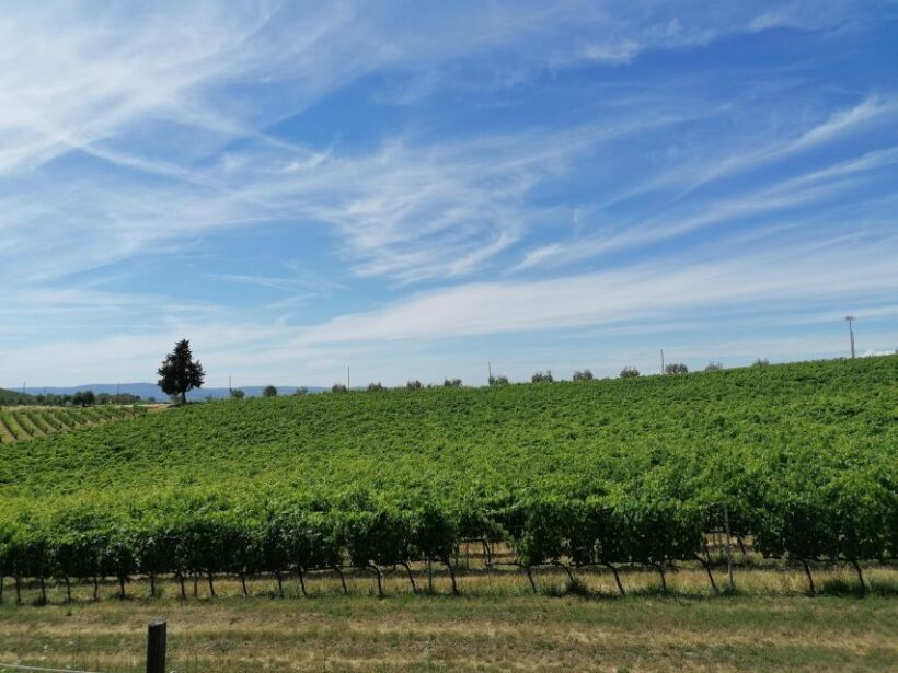 3-hour Vintage FIAT 500 Chianti Classico private Wine Tour - FAQ