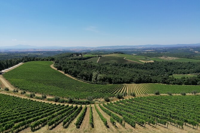 3-hour Vintage FIAT 500 Chianti Classico Private Wine Tour - What Could Be Better?
