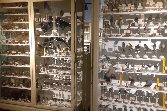 3-Hour Walking Tour With Guide Discovering Verona - Additional Information for Travelers