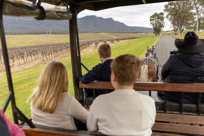 3- Hour Wine and Harvest the Hunter Horse Tour in Pokolbin - Who is This Tour Best For?