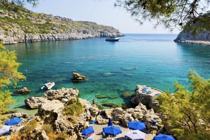 3 Hour Yellow Semi Submarine Swimming Cruise With Drinks Included! - Customer Feedback and Insights