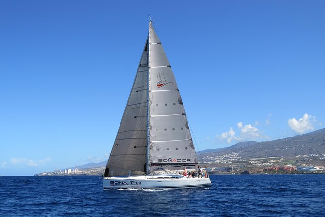 3 Hours All Inclusive Whale and Dolphin Whatching Yacht Trip - Meeting Point and Pickup Information