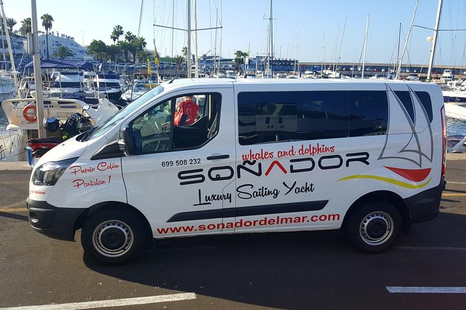 3 Hours All Inclusive Whale and Dolphin Whatching Yacht Trip - Tips for an Enjoyable Trip