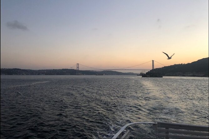 3 Hours Bosphorus Boat Cruise with Stop in Asia Side - The Sum Up: Who Should Consider This Tour?
