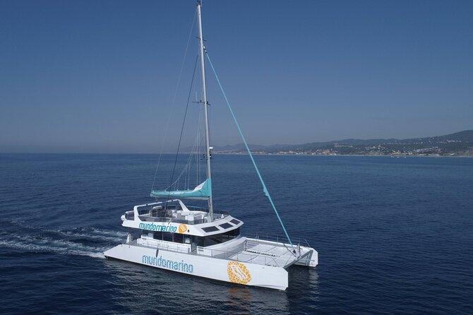 3-Hours Catamaran Tour in Malaga With Paella - Accessibility and Policies