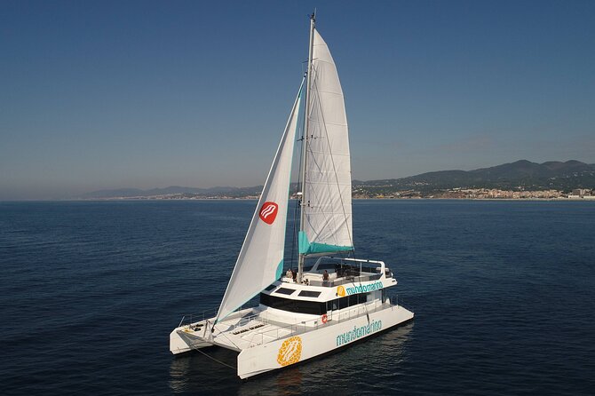 3-Hours Catamaran Tour in Malaga With Paella - Tips for Booking and Preparation