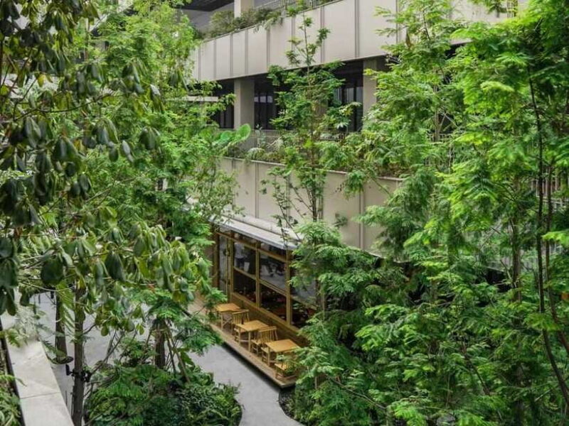 3 Hours City Walk in French Concession and Street Food Tour - FAQ