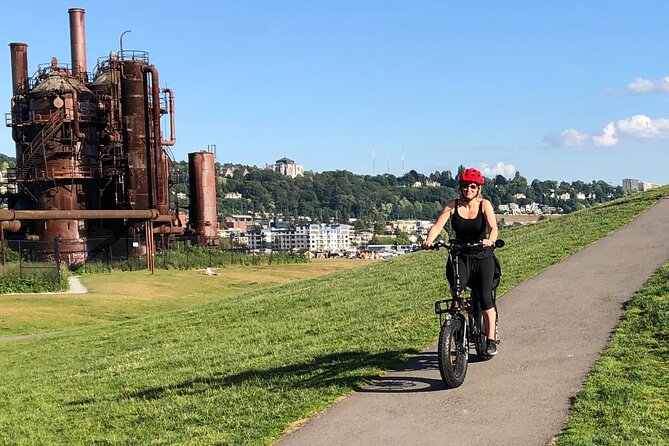 3 Hours Electric Bike Tour of Seattles Waterways, Nature and Neighborhoods - Traveler Reviews and Feedback