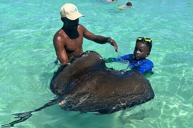 3-Hours Eye-Opening Stingray City Antigua - Transfer R/T included - A detailed look at the itinerary