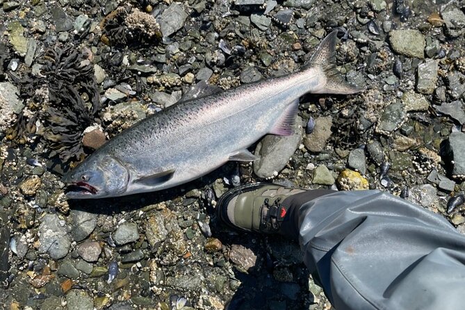 3 Hours Fishing Experience Class in Juneau - FAQ