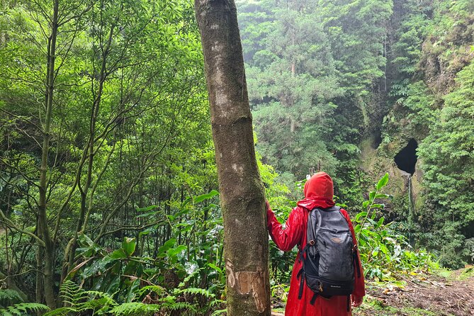 3 Hours Guided Forest Bathing Hike in Portugal - Practical Considerations and Value