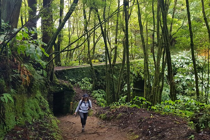 3 Hours Guided Forest Bathing Hike in Portugal - Who Should Consider This Tour
