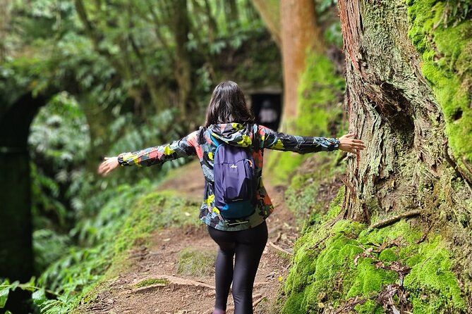 3 Hours Guided Forest Bathing Hike in Portugal - FAQ