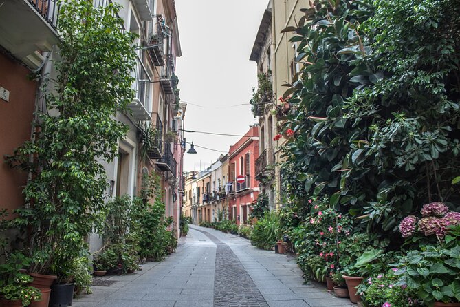 3 Hours Guided Tour of the Historic Districts of Cagliari - Pricing and Cancellation Policy