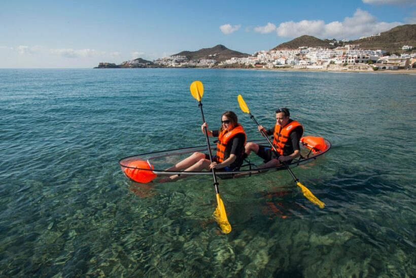 3 Hours Guided Tours in Transparent Kayaks - Key Points