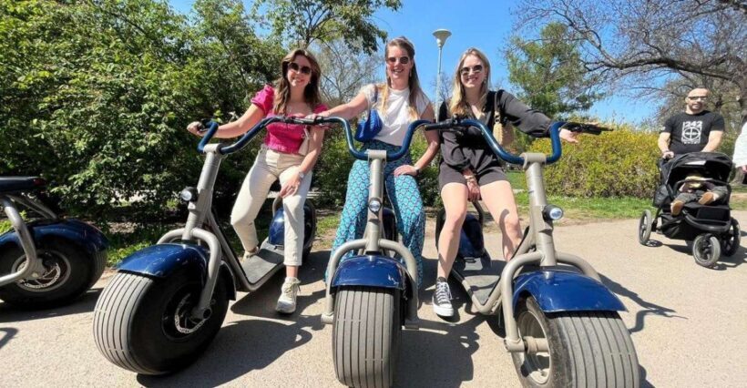 3 Hours Hamburg E-Scooter Tour - Why Consider the Hamburg E-Scooter Tour?