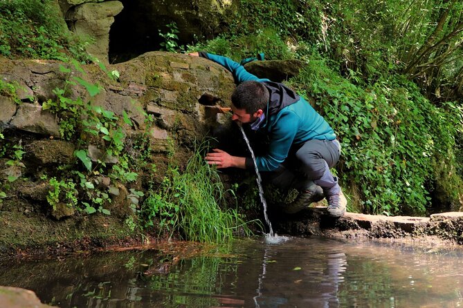 3 Hours Hiking On The Via Sacra Romana Between Lakes Nature And Pasta - Authentic Experiences and Personal Touches