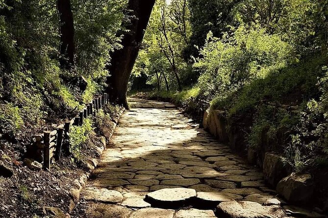 3 Hours Hiking On The Via Sacra Romana Between Lakes Nature And Pasta - Practical Tips for Travelers