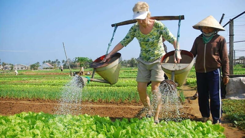 3 Hours Hoi An Countryside Bicycle Tour - Key Points