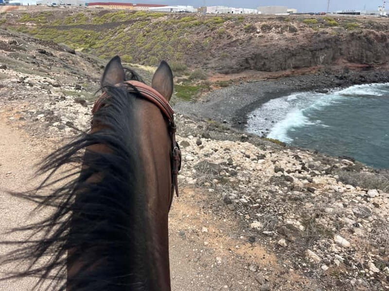 3 hours Horse Riding Tour to the Coast - A Closer Look at the Experience