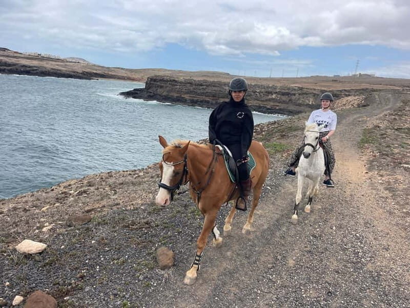 3 hours Horse Riding Tour to the Coast - Why Choose This Tour?
