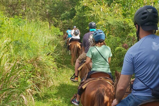 3 Hours Horseback Riding from Nature Trails to Sofa Stone - How the Tour Fits Into Your St Kitts Visit
