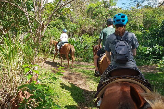 3 Hours Horseback Riding from Nature Trails to Sofa Stone - FAQs