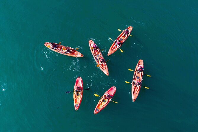 3 Hours Kayaking in Kotor Bay in Montenegro - A Practical Look at the 3 Hours Kayaking in Kotor Bay in Montenegro