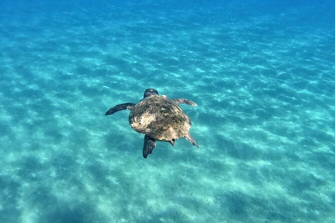 3 Hours Marathonissi Island Tour, Keri Caves and Turtles Spotting - Exploring the Keri Caves