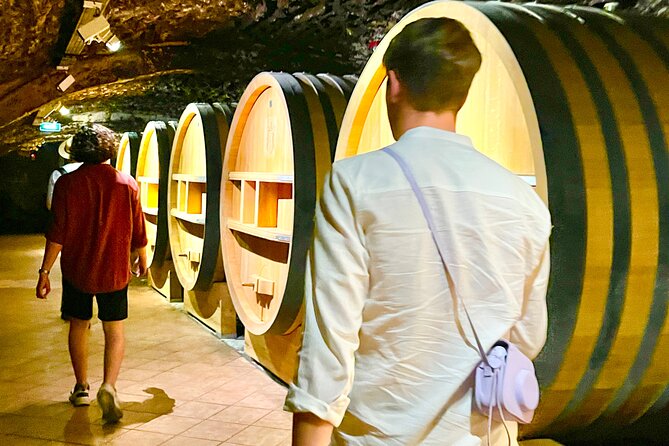 3 hours of Tour in the Wines of Châteauneuf-du-Pape - Who Should Book This Tour?