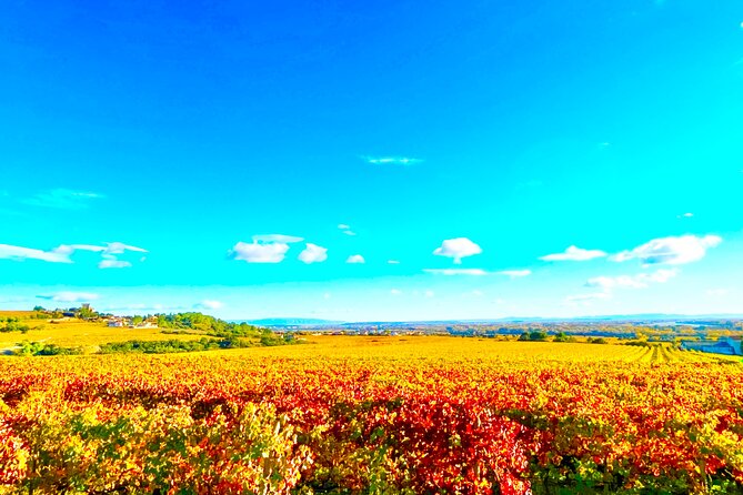 3 hours of Tour in the Wines of Châteauneuf-du-Pape - FAQ