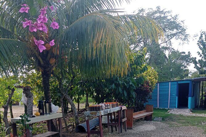 3 Hours Panoramic Tour in Punta Cana with Artisan Market - Frequently Asked Questions