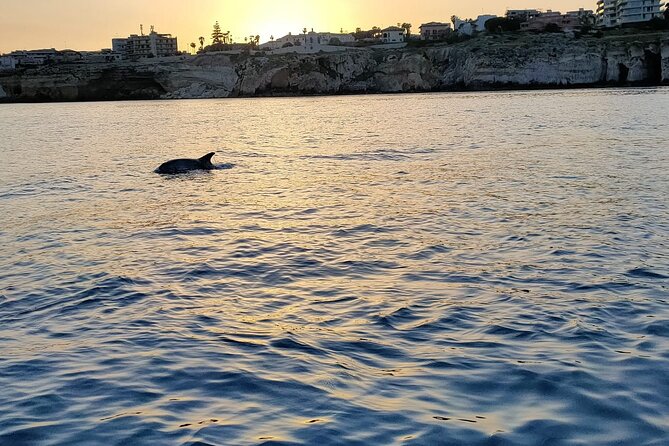 3 Hours Private Boat Tour of the Island of Ortigia with Aperitif - Final Thoughts: Who Should Consider This Tour?