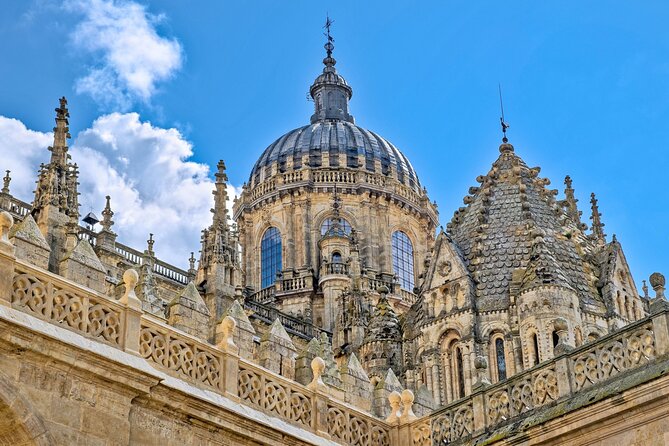 3 Hours Private Guided Walking Tour in Salamanca - FAQ