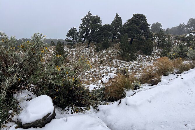 3 hours Private Hike: Mountain Nevado Toluca from Mexico city - Authentic Travelers’ Feedback