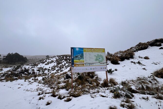 3 hours Private Hike: Mountain Nevado Toluca from Mexico city - The Sum Up: Who Will Love This Experience?