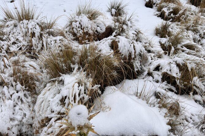3 hours Private Hike: Mountain Nevado Toluca from Mexico city - FAQs