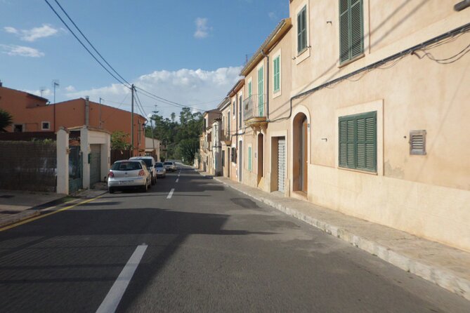 3 hours quad tour from Paguera - Practical Details: What You Need to Know