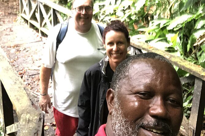 3 Hours Rainforest Group Walk with Lunch - A Deep Dive into the Rainforest Walk Experience